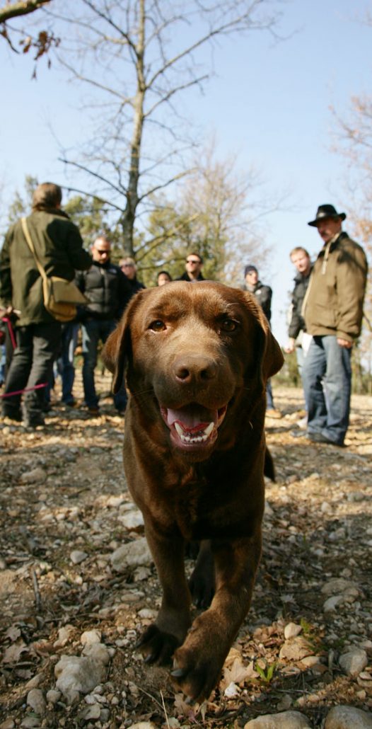 Produits - Les Frères Jaumard